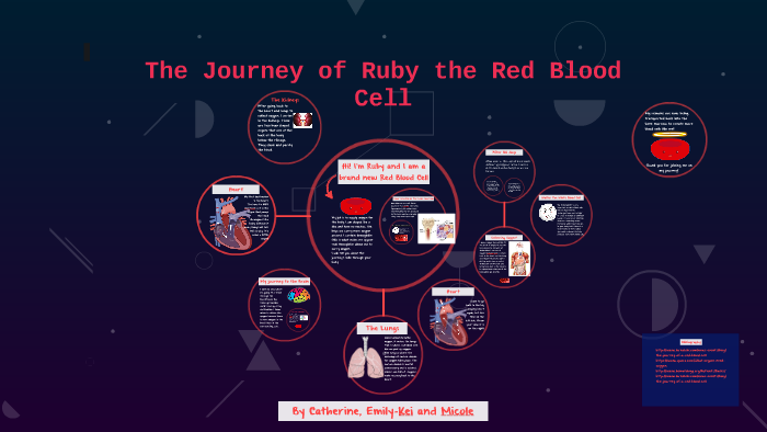 The Journey of Ruby the Red Blood Cell by Micole Ma on Prezi