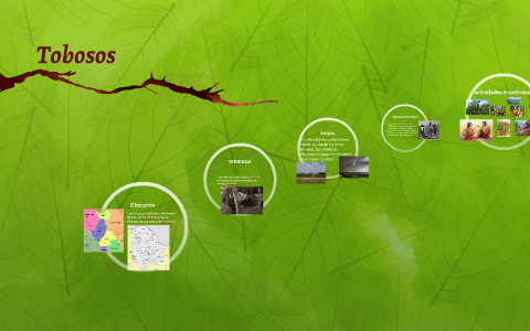 Tobosos by Brenda Leon on Prezi