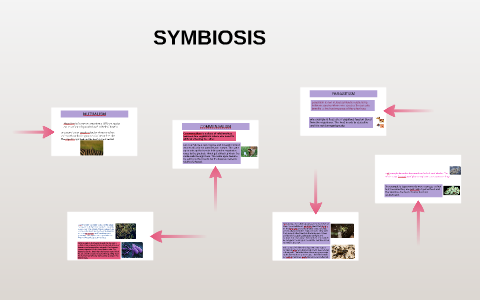 SYMBIOSIS by shakayla simmons on Prezi