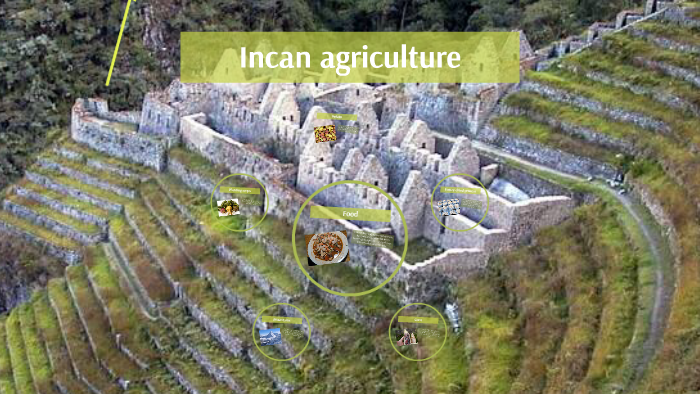Incan agriculture by Ian Mecklenborg on Prezi