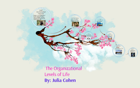 Organizational Levels of Life by Julia Cohen on Prezi