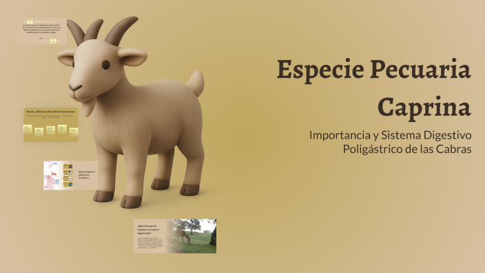 Especie Pecuaria Caprina by MAYRA MICHEL ALVARADO TOBAR on Prezi