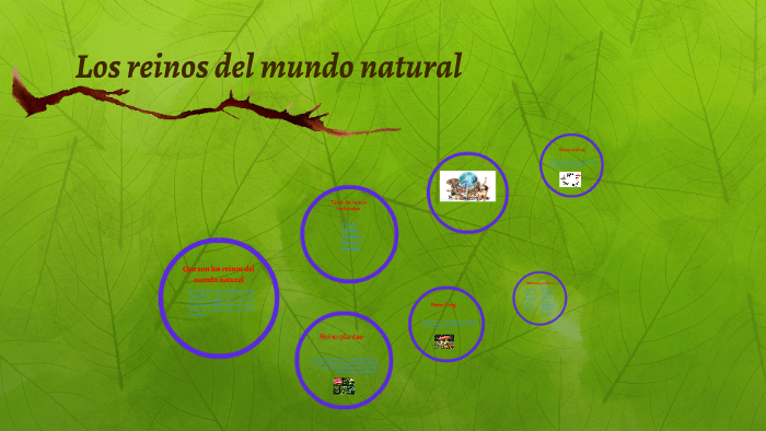 Los reinos del mundo natural by Rafa Castañeda Carcamo on Prezi
