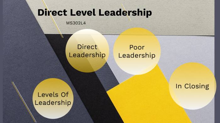 MS302L4 Direct Level Leadership by nicholas clegg on Prezi
