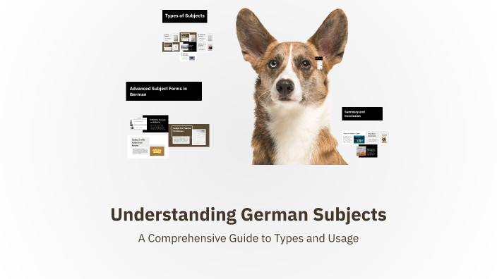 Understanding German Subjects by Nesrin Abdulmaksoud on Prezi