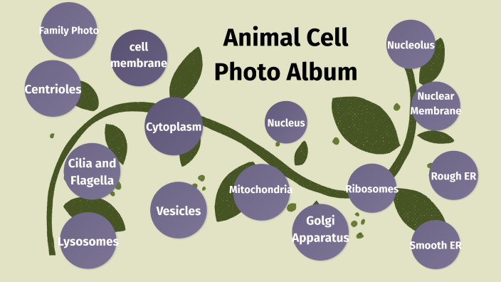 Cell Family Photo Album by Zamya Smith on Prezi