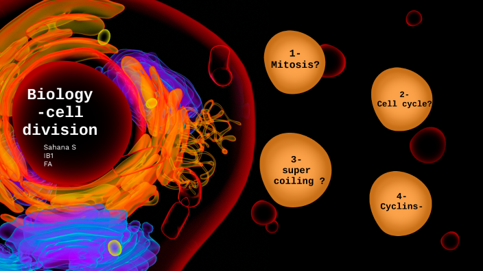 Biology - Cell division by Sahana S on Prezi