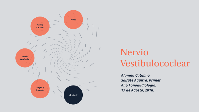 Nervio Vestibulococlear 8vo par craneal by Catalina Salfate Aguirre on ...