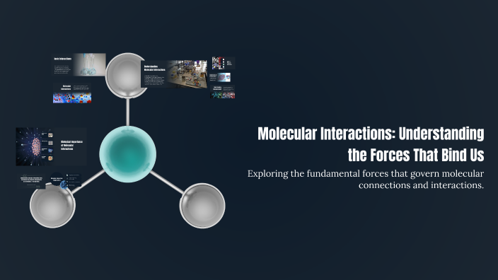 Molecular Interactions: Understanding the Forces That Bind Us by VICTOR ...