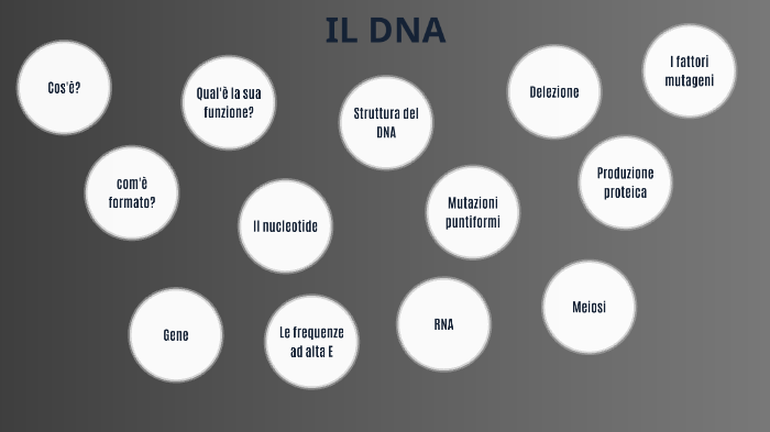 IL DNA by . . on Prezi