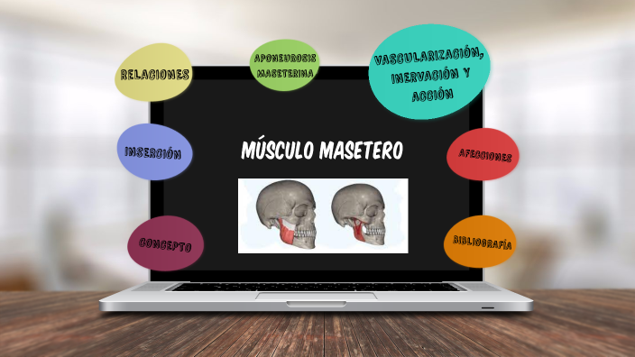 Músculo Masetero by Gema Mendoza on Prezi