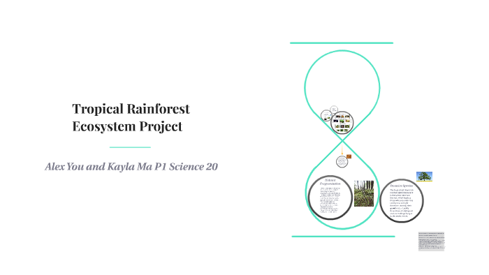 Tropical Rainforest Ecosystem Project by Kaitlyn Chuong on Prezi