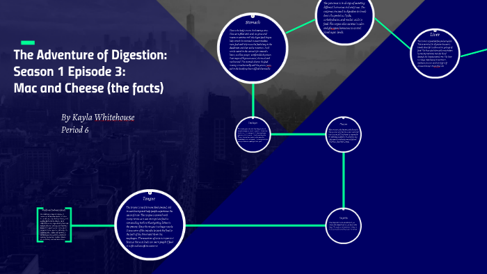 How Mac and Cheese is Digested by Kayla Whitehouse on Prezi