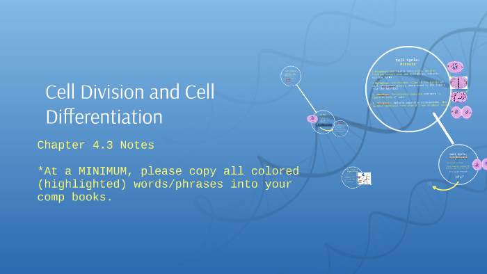 Cell Division and Cell Differentiation by