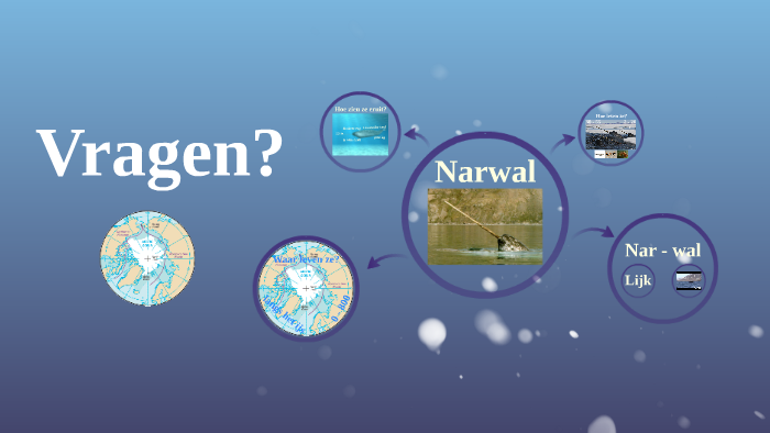 Narwal by Pascal van Dooren on Prezi