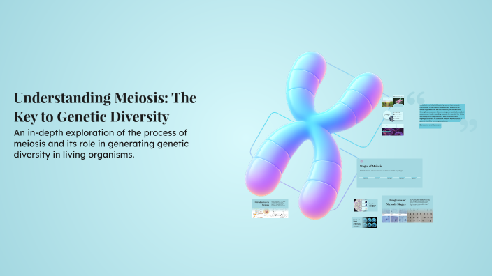 Understanding Meiosis: The Key to Genetic Diversity by Mikaeyla on Prezi