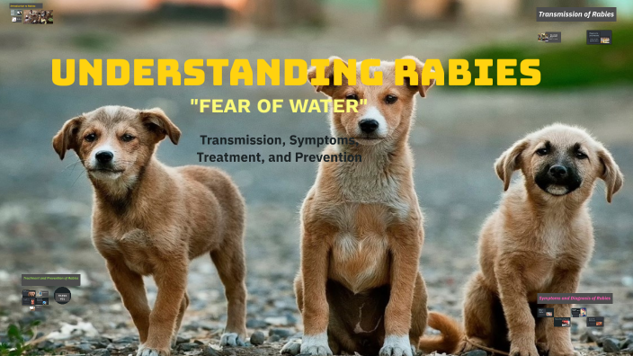 Understanding Rabies by Sushant Sah on Prezi