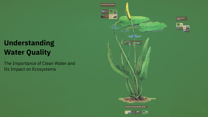 Understanding Water Quality by Juan Flores on Prezi