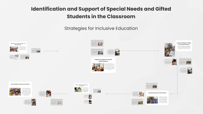 Identification and Support of Special Needs and Gifted Students in the Classroom by ...