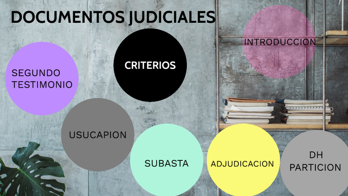 Documentos Judiciales By Jimena Lagos