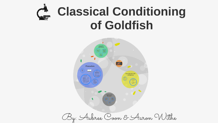 Classical Conditioning of Goldfish by Aubree Coon on Prezi