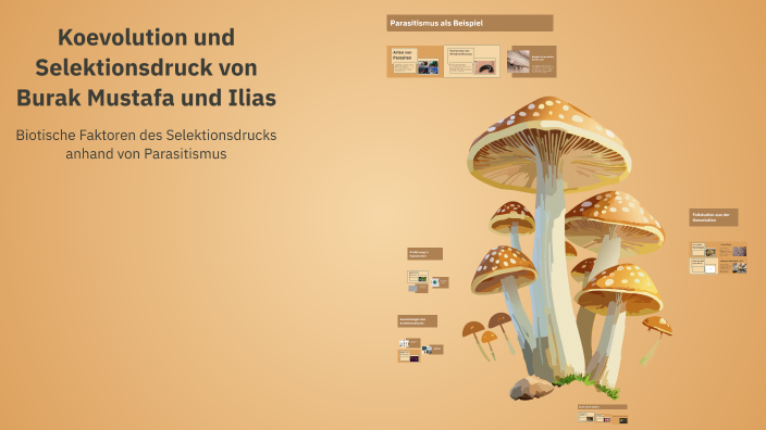 Koevolution und Selektionsdruck von Burak Mustafa und Ilias by Burak ...
