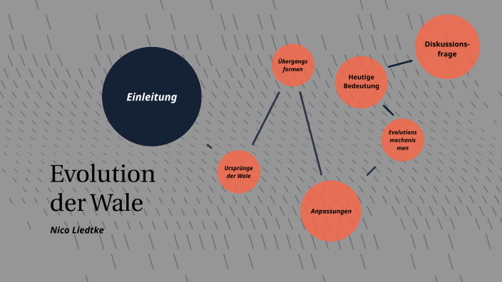 Evolution der Wale by on Prezi