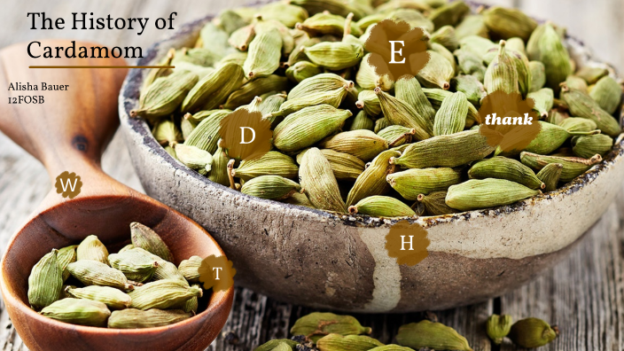 The History of Cardamom by Alisha Bauer on Prezi