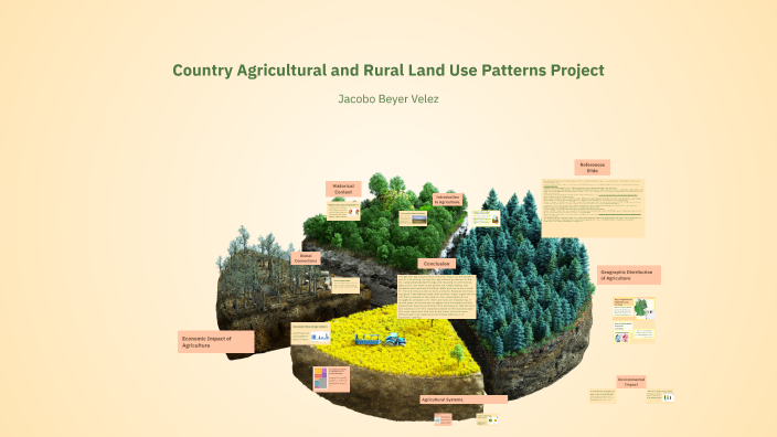 Country Agricultural and Rural Land Use Patterns by JACOBO BEYER VELEZ ...