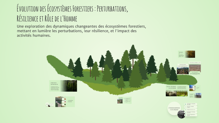Évolution des Écosystèmes Forestiers : Perturbations, Résilience et ...