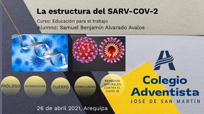 La estructura del SARV-COV-2 by samuel alvarado on Prezi