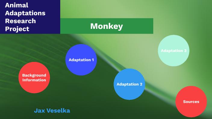 Animal Adaptations Research Project by Jaxson Veselka on Prezi