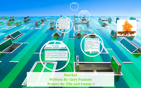 Hatchet Written By: Gary Paulsen Project By: Elle and Emma : by Emma ...