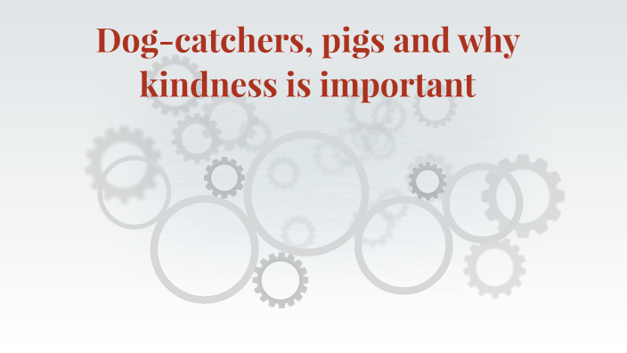 Pigs, wizards and kindness assembly by Laura Mathews on Prezi