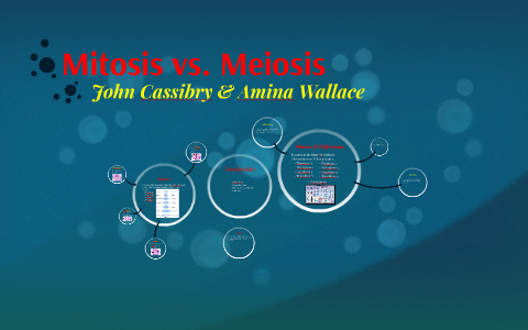 Mitosis vs. Meiosis by John Cassibry on Prezi