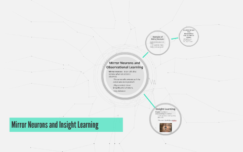 Mirror Neurons and Observational Learning by Nicholas Rizzo on Prezi