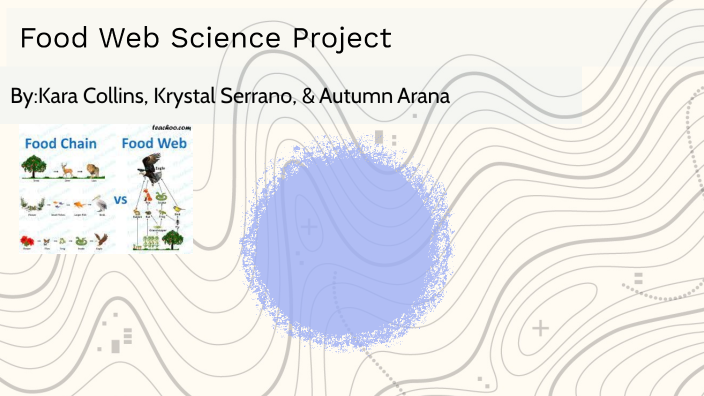 Science presentation Food Webs & Food Chains by kara collins on Prezi