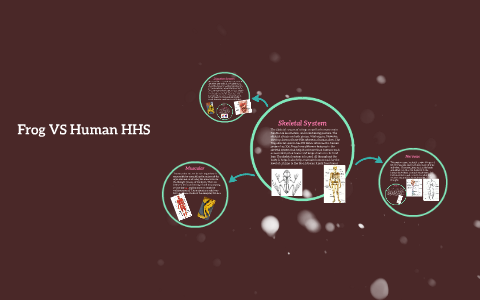 Frog VS Human HHS, Nick and Gabe by Gabe Dewar on Prezi