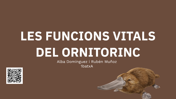 Les funcions vitals del ornitorinc - Alba i Rubén by alba domínguez ...
