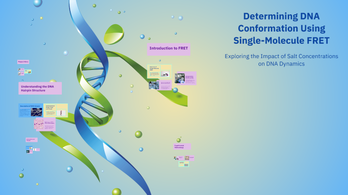 Determining DNA Conformation Using Single-Molecule FRET by Zainab ...