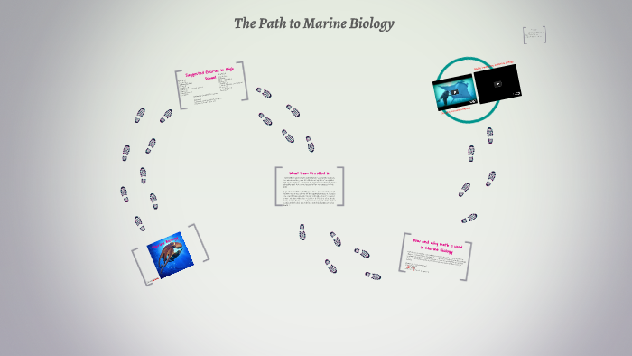 Marine Biology and math course requirements by Jared Lenson on Prezi