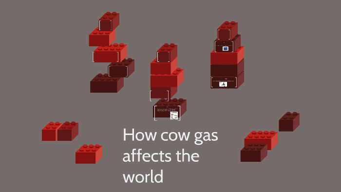 How cow gas affects the world by robbie keyser on Prezi