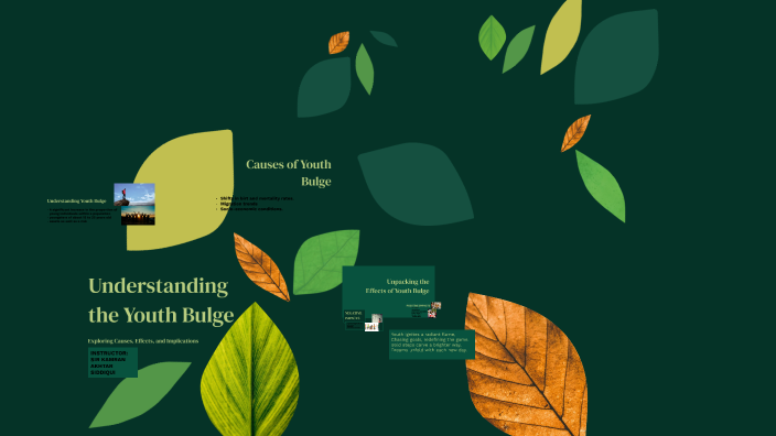 Harnessing The Youth Bulge By Saba Noor On Prezi