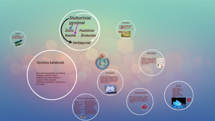 Gyvūnų karalystė by Linkutė Karina on Prezi