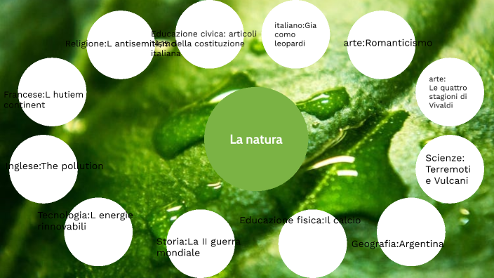 Mappa Concettuale Tesina By Silvia Musicò On Prezi