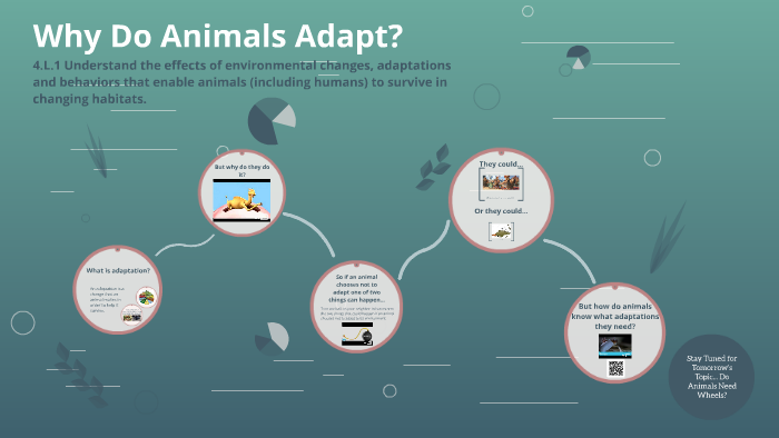 Why Do Animals Adapt? by Courtney Hale on Prezi