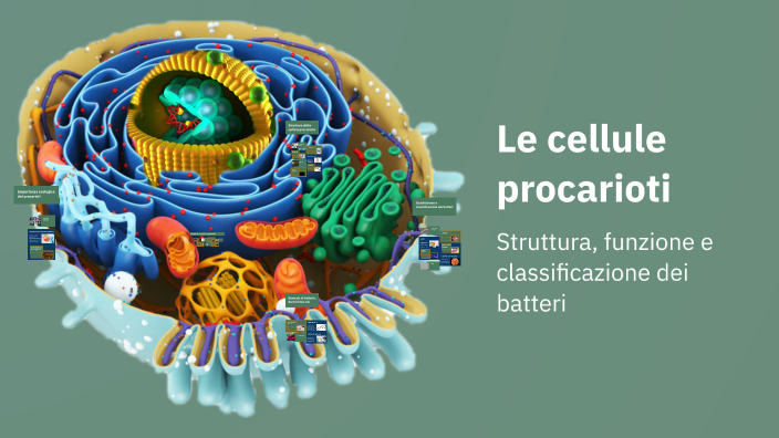 Le cellule procarioti by Federico Pandini on Prezi