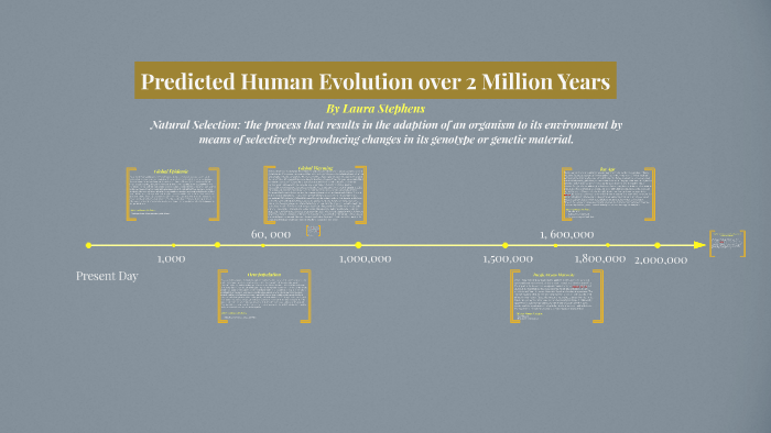 Human Evolution over 2 Million Years by Laura Stephens on Prezi