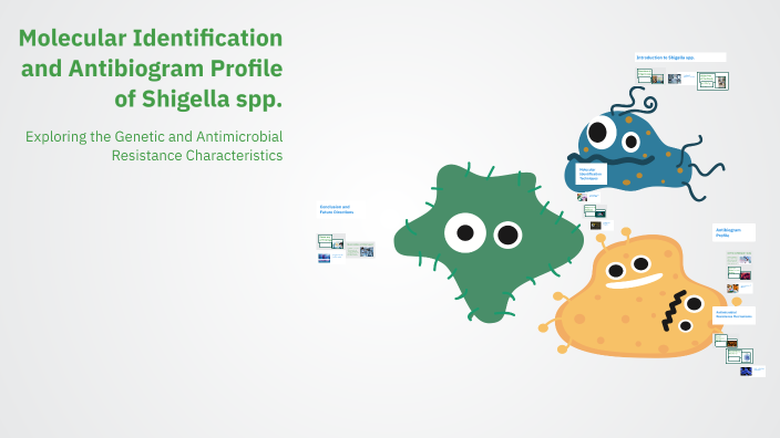 Molecular Identification and Antibiogram Profile of Shigella spp. by ...