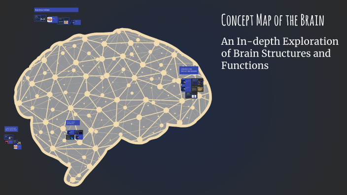 Concept Map of the Brain by robert rovira on Prezi